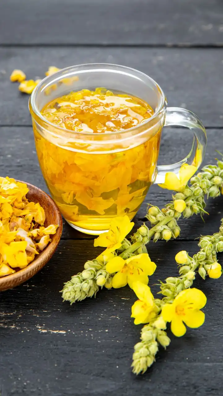 Amazing Health Benefits of Mullein Tea