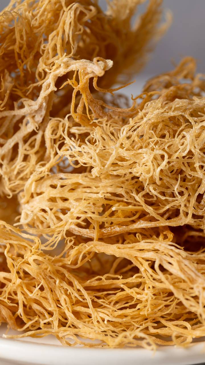 Amazing Health Benefits of Sea Moss